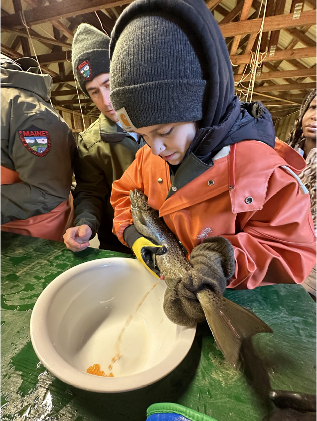 Students Practice Real-world Science Through Salmon Spawning with State ...